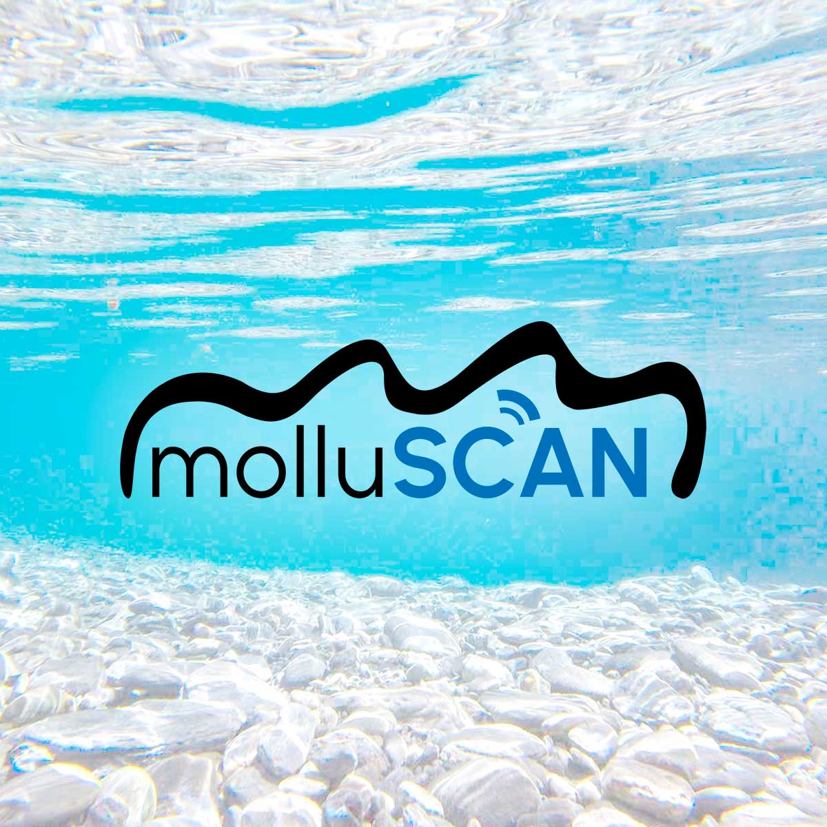 molluSCAN-eye® Biosurveillance continue de la qualité de l'eau